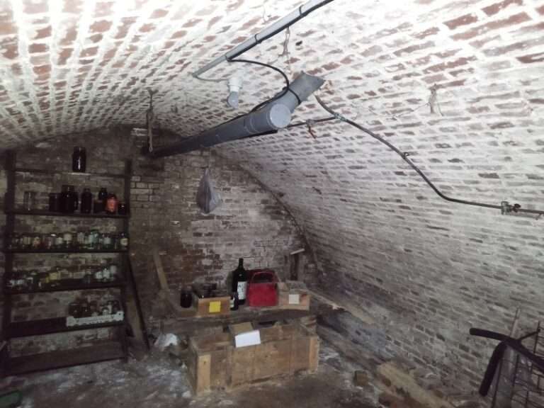 Rénovation d'une cave : le guide complet