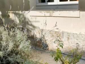 Soubassement de façade : tout savoir